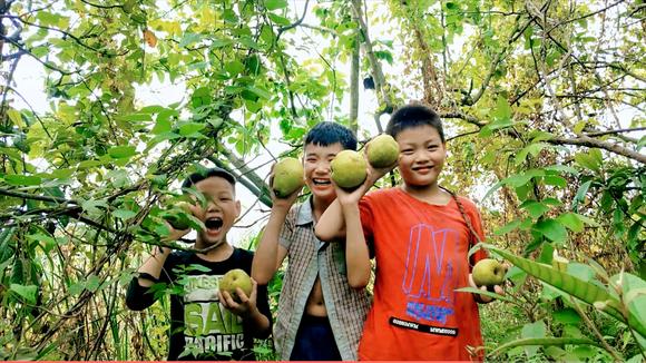 带孩子们去摘野梨子,收获满满,看把孩子们高兴的