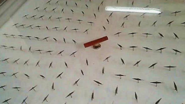 500个指南针摆在一起,放上一块磁铁会怎样?场面有点震撼