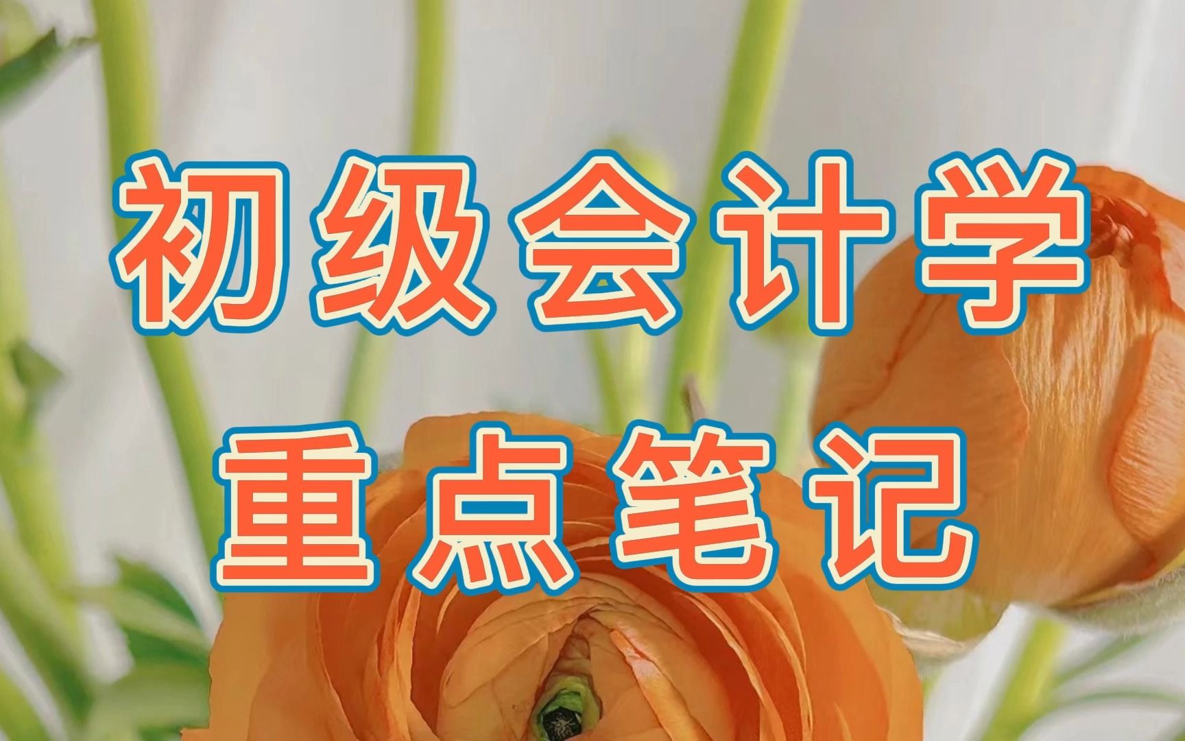 《初级会计学》考试笔记总结