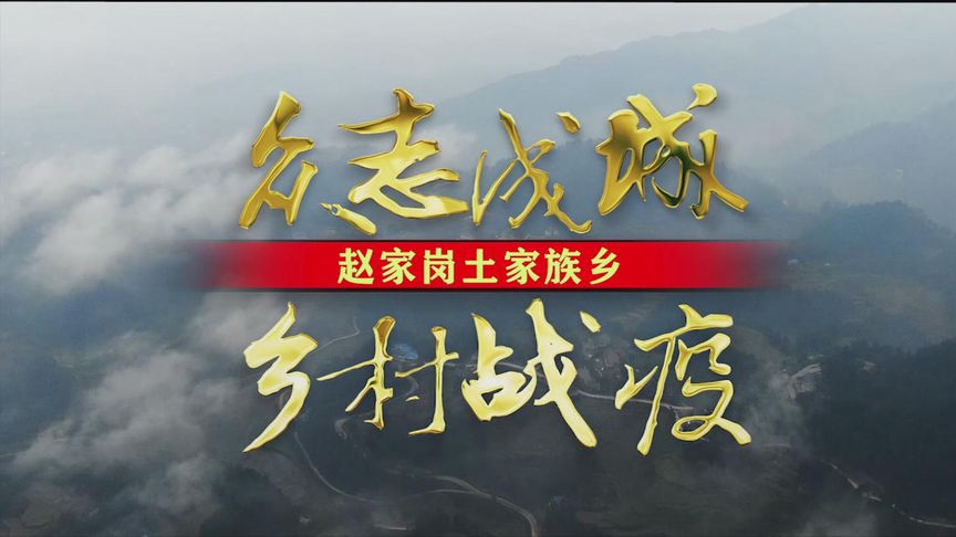 张家界的这个乡,敲锣打鼓做疫情宣传,全乡人众志成城