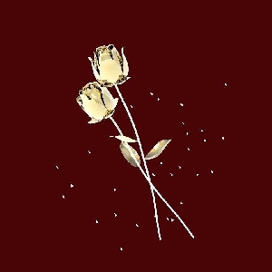 花椒芍药研究所 