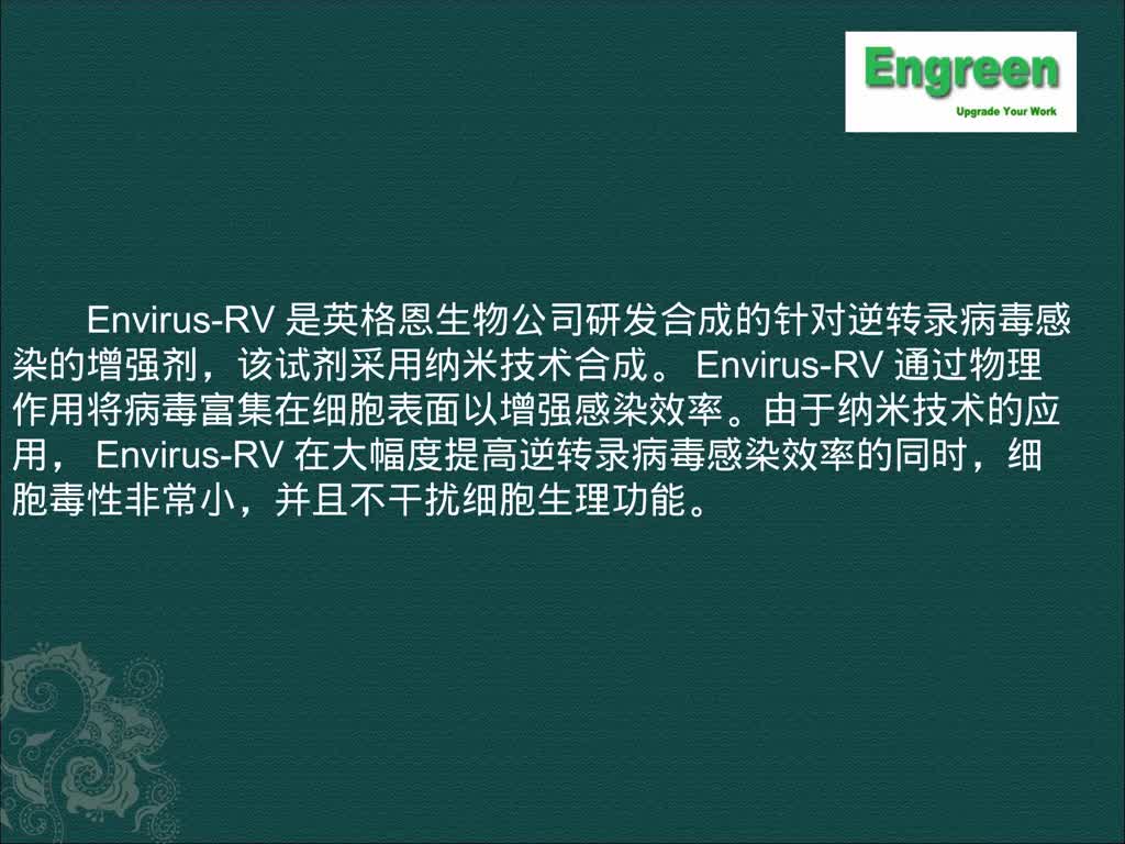 逆转录病毒感染增强剂(Envirus-RV)实验过程