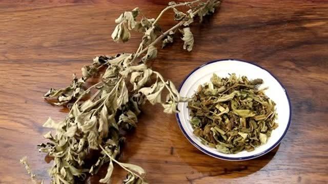 身体虚弱、免疫力差,2味中药煮水泡脚,身体越来越健康!