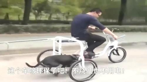 环保三轮车,百公里不耗油