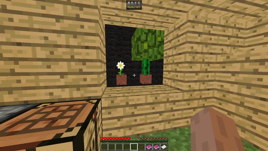 修罗解说:《我的世界》单人解密【考试之途】全是套路