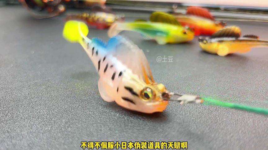 小日本的伪装设计理念我确实佩服,无论人还是鱼都被迷惑的妥妥的
