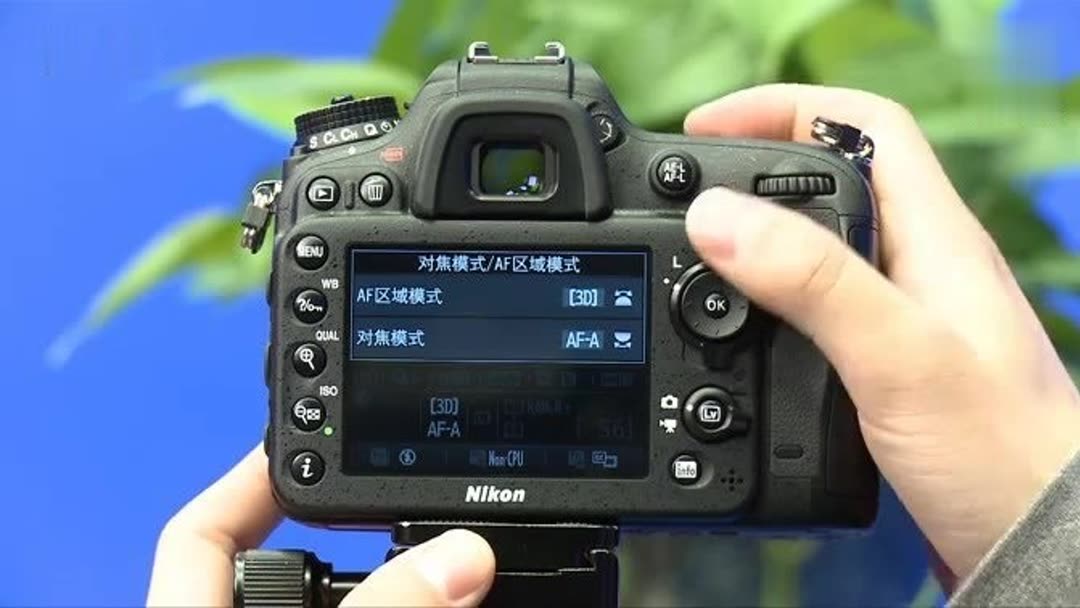 尼康D7200 数码单反操作教程—自动对焦模式选择「跟我学摄影」