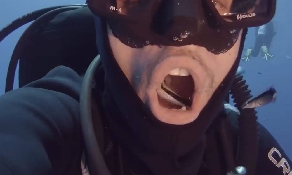 男子潜水时感到不适,取下呼吸管,张开嘴后都蒙了