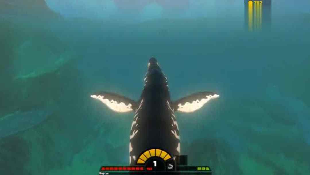 海底大猎杀鱼类看够了?两栖爬行动物要不要了解一下呢?