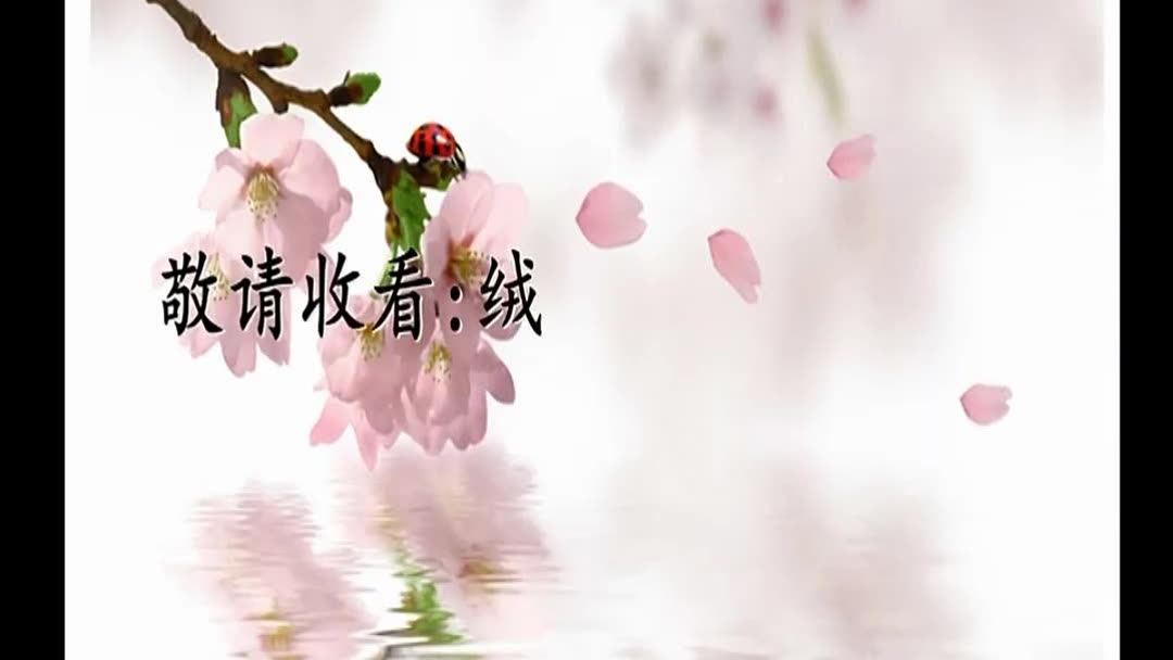 绒线编织视频教学 富贵绒花披肩(第二集)