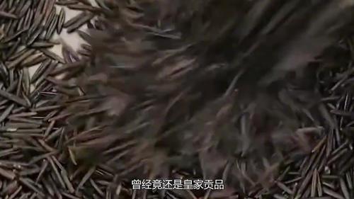 全球最贵的大米,出产自却少有人知,曾经竟还是皇家贡品!