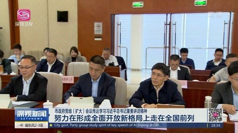 市政府党组(扩大)会议传达学习习近平总书记重要讲话精神