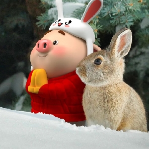 财会小达人 