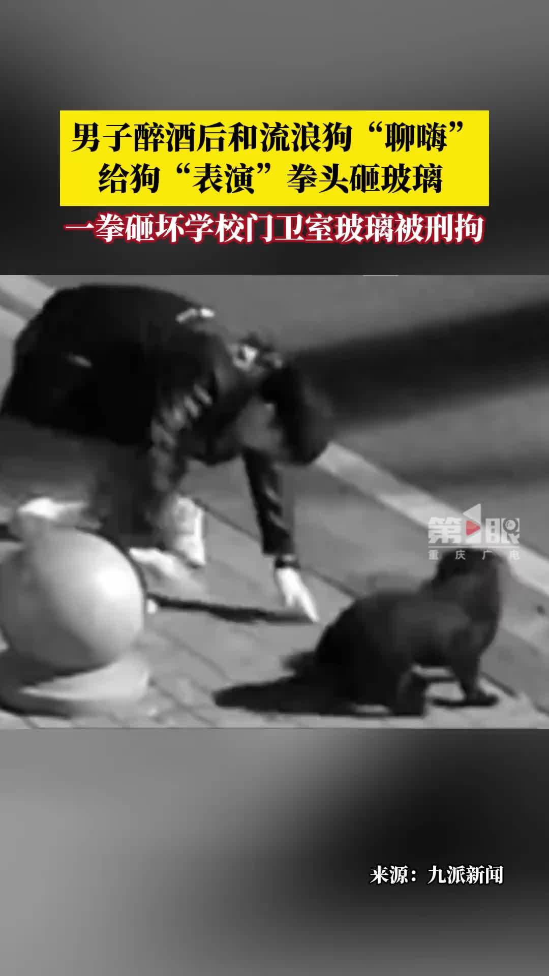 男子醉酒后给流浪狗“表演”拳头砸玻璃,一拳砸坏学校门卫室玻璃