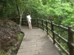 卓依婷模仿程琳的歌曲