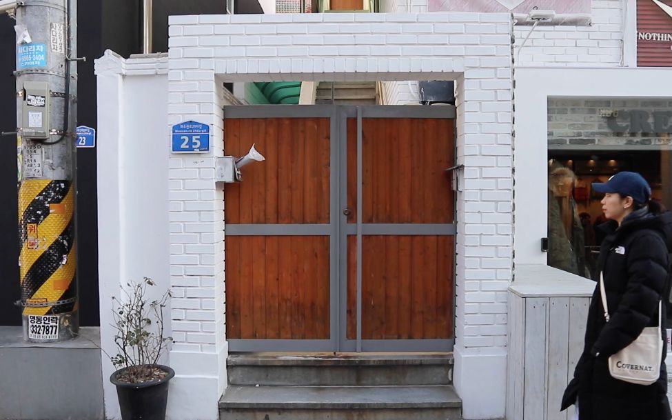 盆儿的一周vlog 韩国水果好吃吗?韩国柜姐啥样?韩国波斯猫?看到最后...