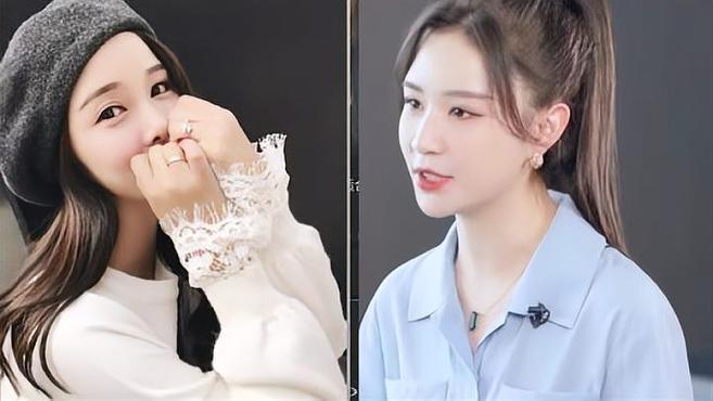 网络主播雪梨、林珊珊就偷逃税事件道歉:将暂停直播间直播