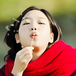 想暴富的小刨冰 