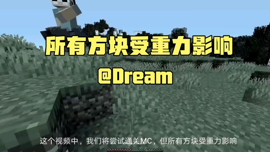 【Dream我的世界】当Minecraft中所有方块受重力影响,且要通关MC