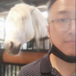 乌市小熊电脑销售维修 