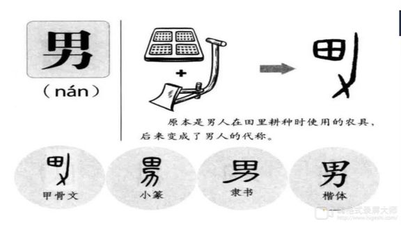 “男”字的演变过程