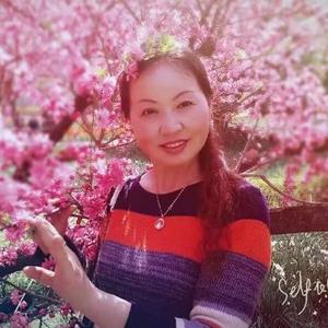 活力舞动广场舞 