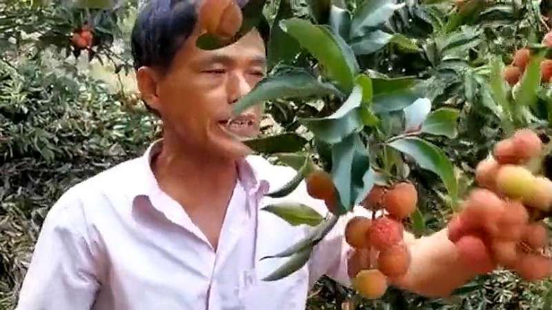 电商的兴起,让农民伯伯不再被动,主动在镜头前卖起了货!