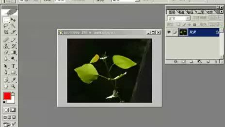 #ps教学 #ps教程 第06集