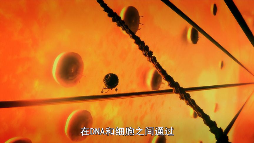 细胞:病毒靠近细胞核,把遗传物质送进细胞核,进行无限制复制