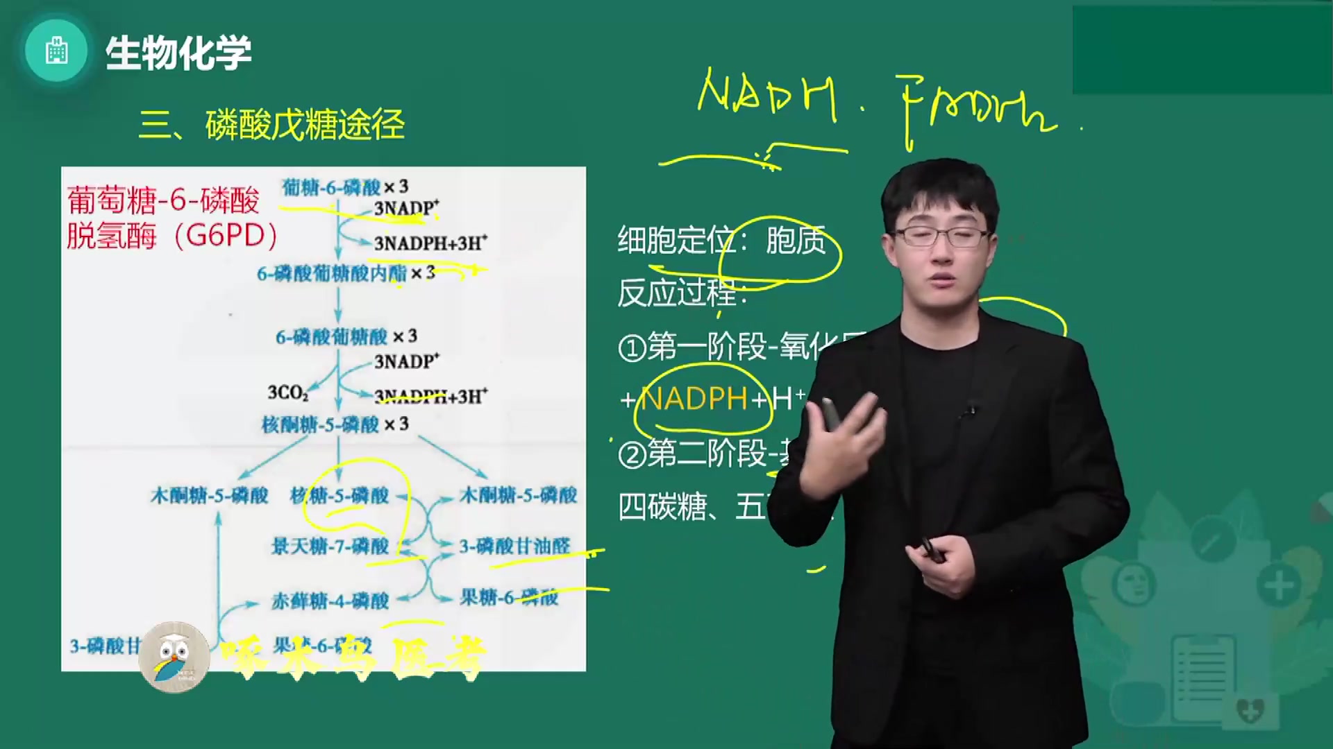 2023年【初级+主管药师】 西药职称\主管药师(366)-基础知识