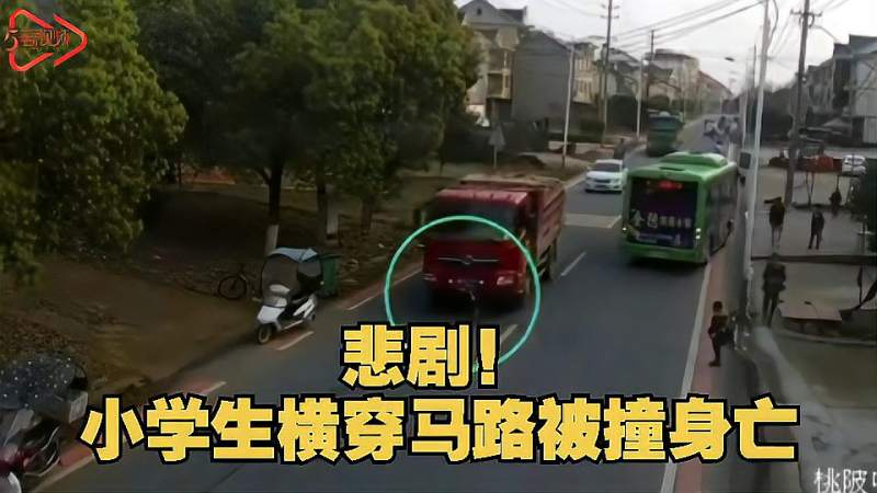 悲剧!小学生横穿马路被撞身亡