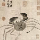 田老头的螃蟹研究 