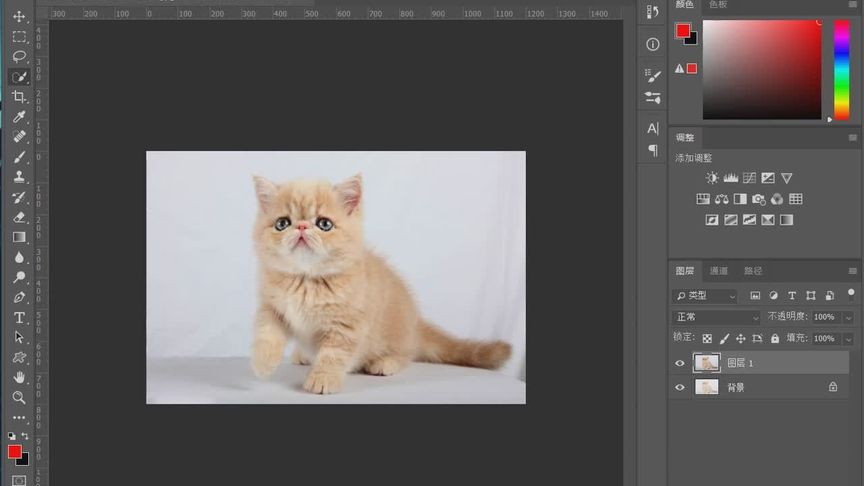 第122期|教你如何用PS抠取动物毛发