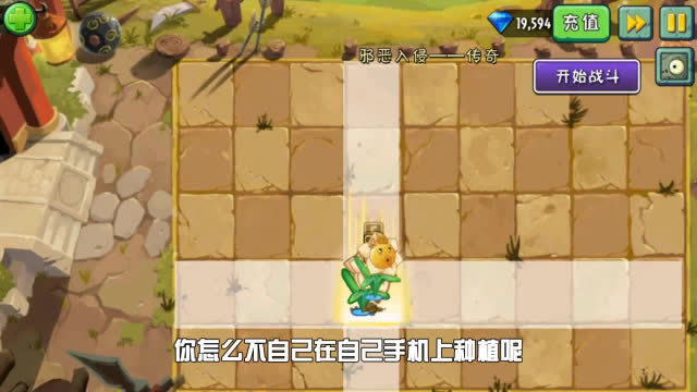 被人忽视的超强射手,水仙花!重叠种植1000个