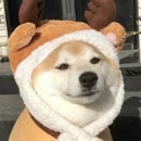 笃诚（小书童） 