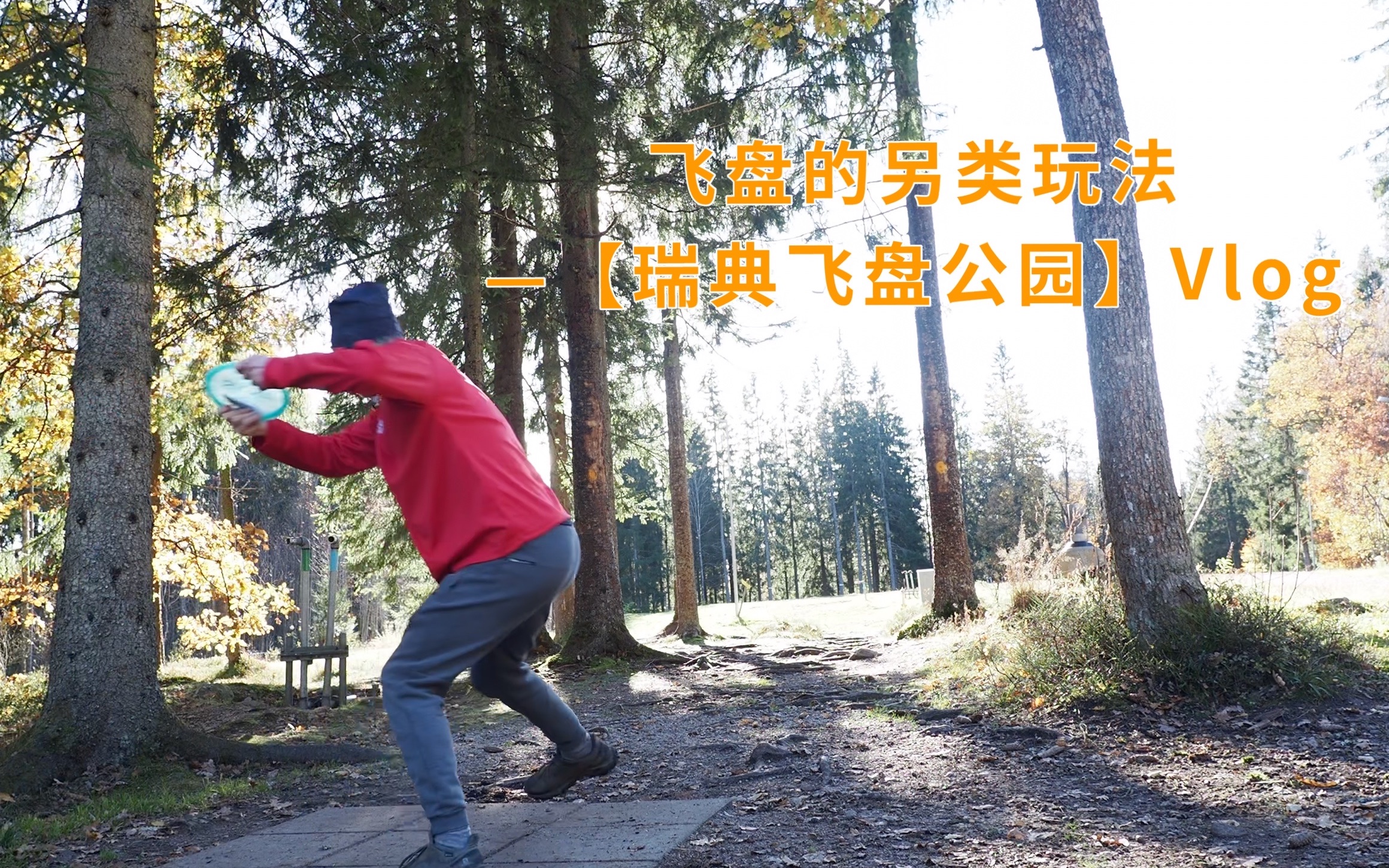 飞盘的另类玩法——【瑞典飞盘公园】Vlog