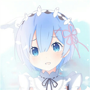 蜡笔没有心12138 