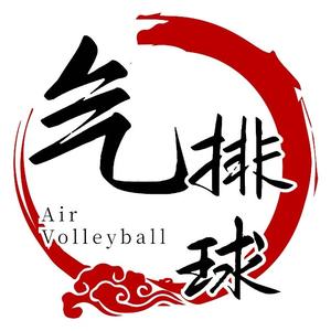 禾木气排球 