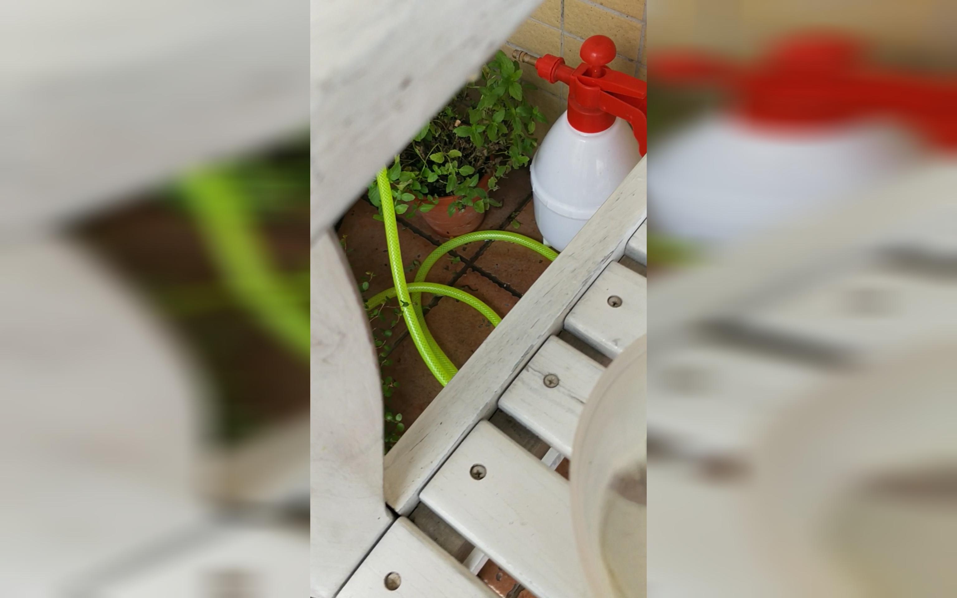论错误使用手机的正确方法