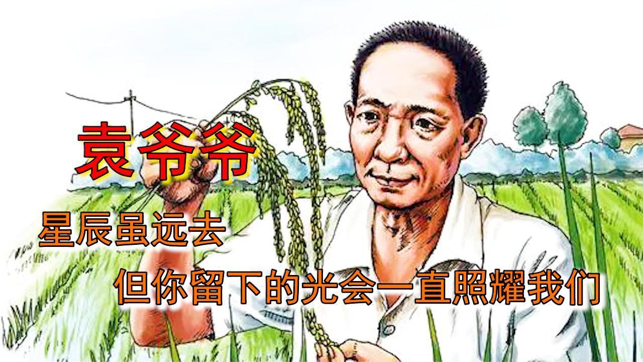 几十秒讲解,伟大袁隆平的不平凡一生,世上再无杂交水稻之父