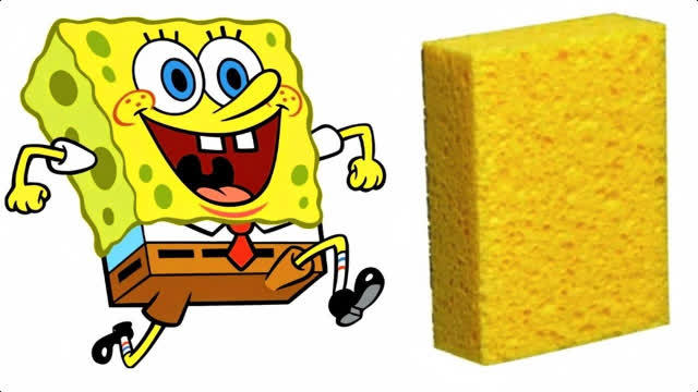 看了这么多年动画,海绵宝宝的原型你知道吗?