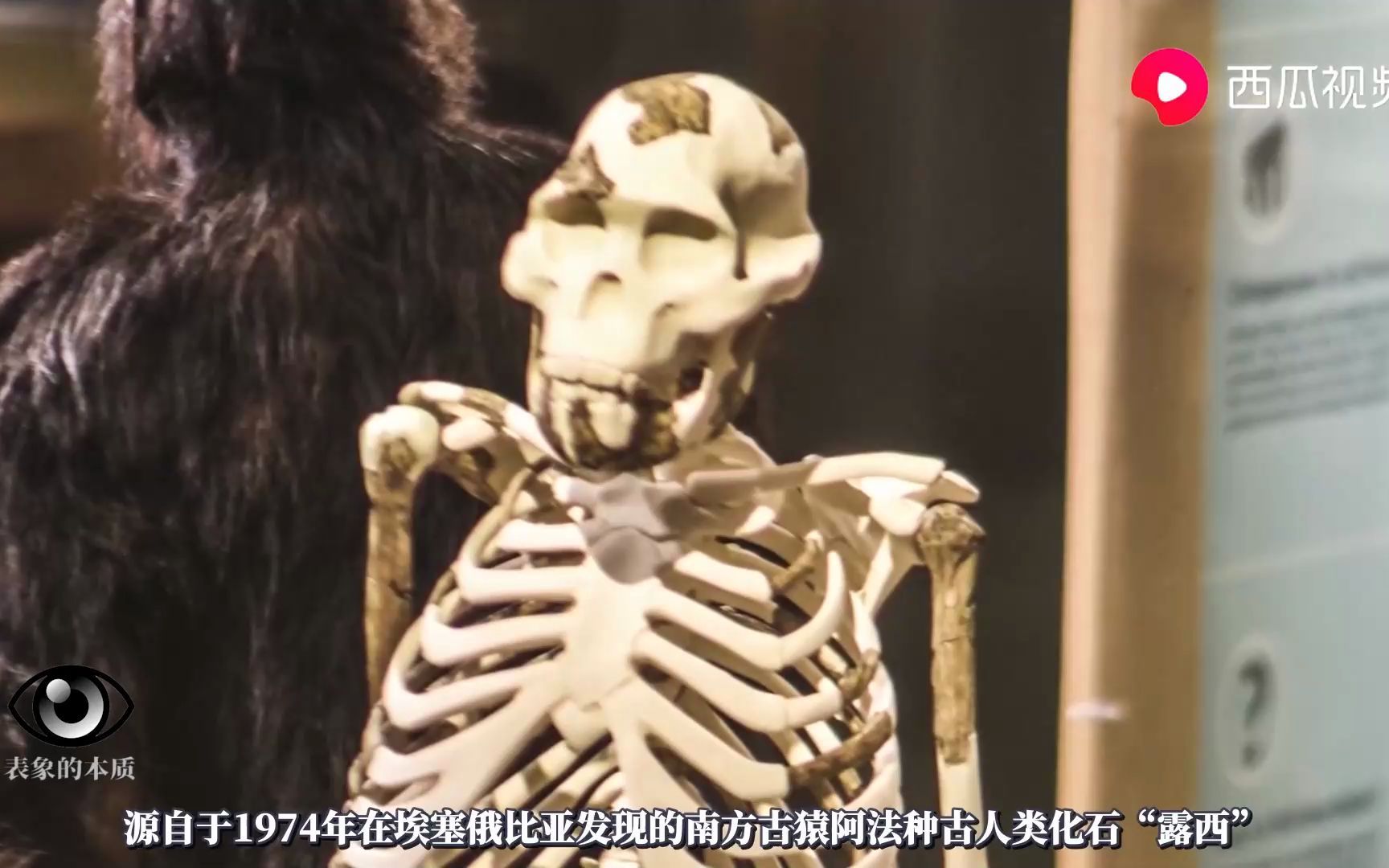 7分钟了解星链:史上最疯狂的互联网计划,11943颗卫星覆盖全球