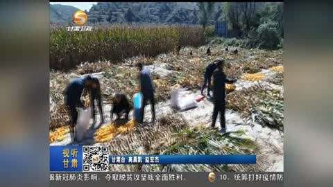 甘肃-甘肃新闻 :2019年我省生态环境质量持续改善