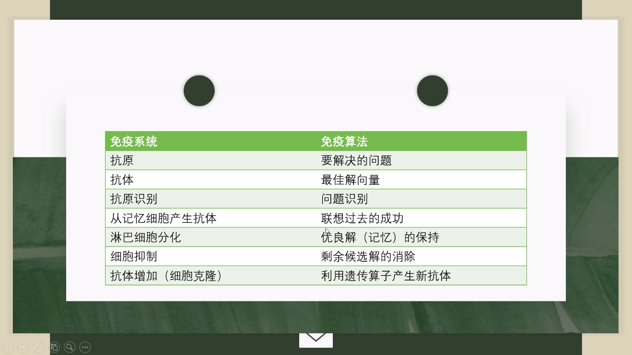 美赛MATLAB免疫算法——连大数模工作室