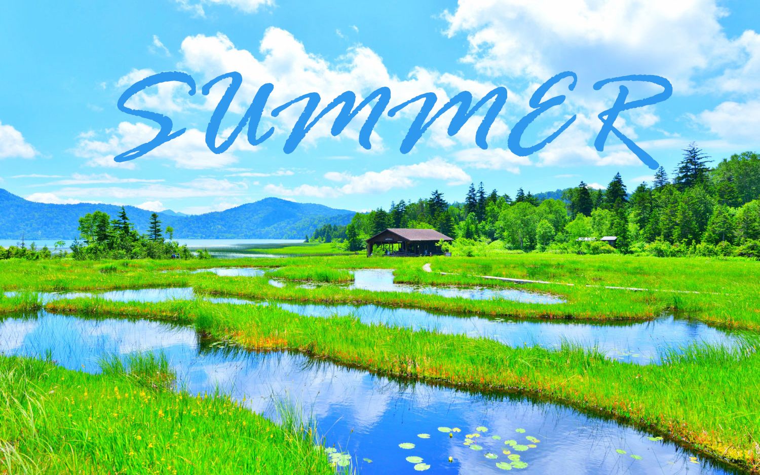 【 杜比数字+/ 1080p 】久石 譲 - 菊次郎的夏天 (Summer)