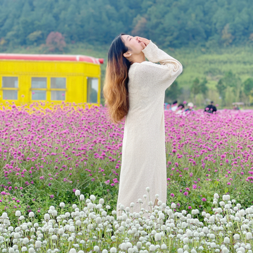 禅绕画官方教师考拉 