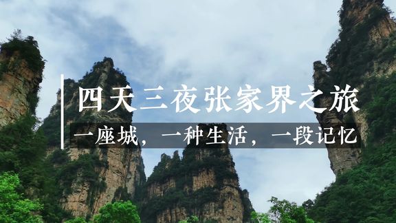 夏日避暑好去处|四天三夜张家界之旅 自由行 亲子游 游玩攻略