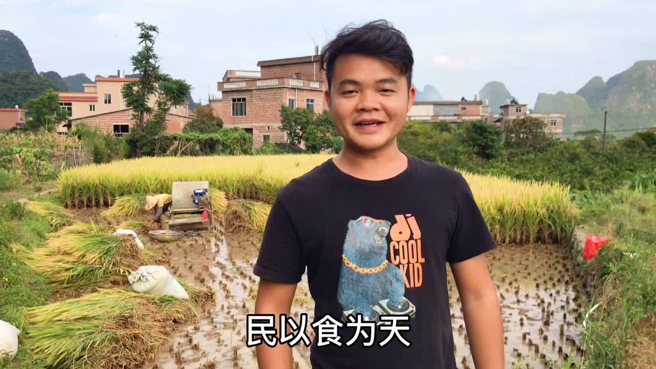 谁知盘中餐,粒粒皆辛苦,农民收割稻谷过程,每一粒米都来之不易