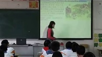 八年级数学下册《分式的加减法(1)》探究类教学片段_北师大版