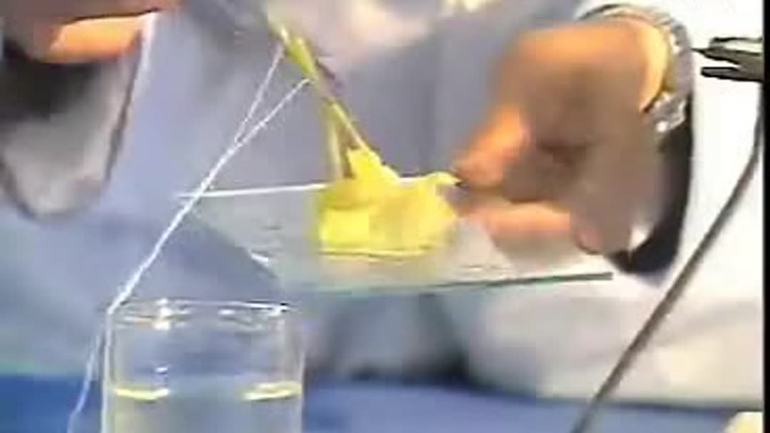 光合作用吸收二氧化碳实验_标清